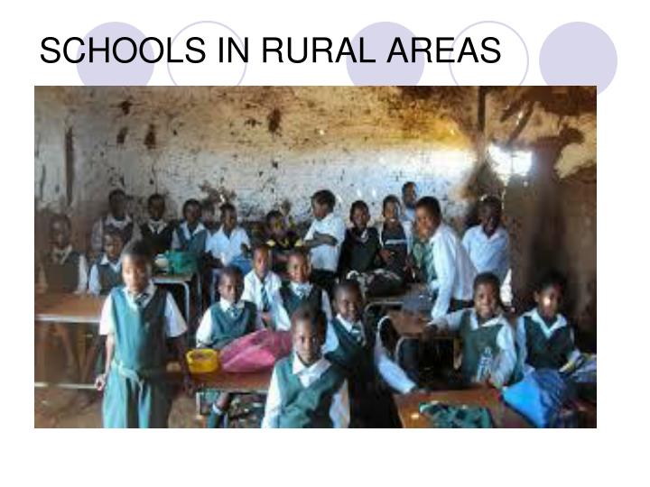 PPT - Reflections on Multicultural Educational Developments and ...