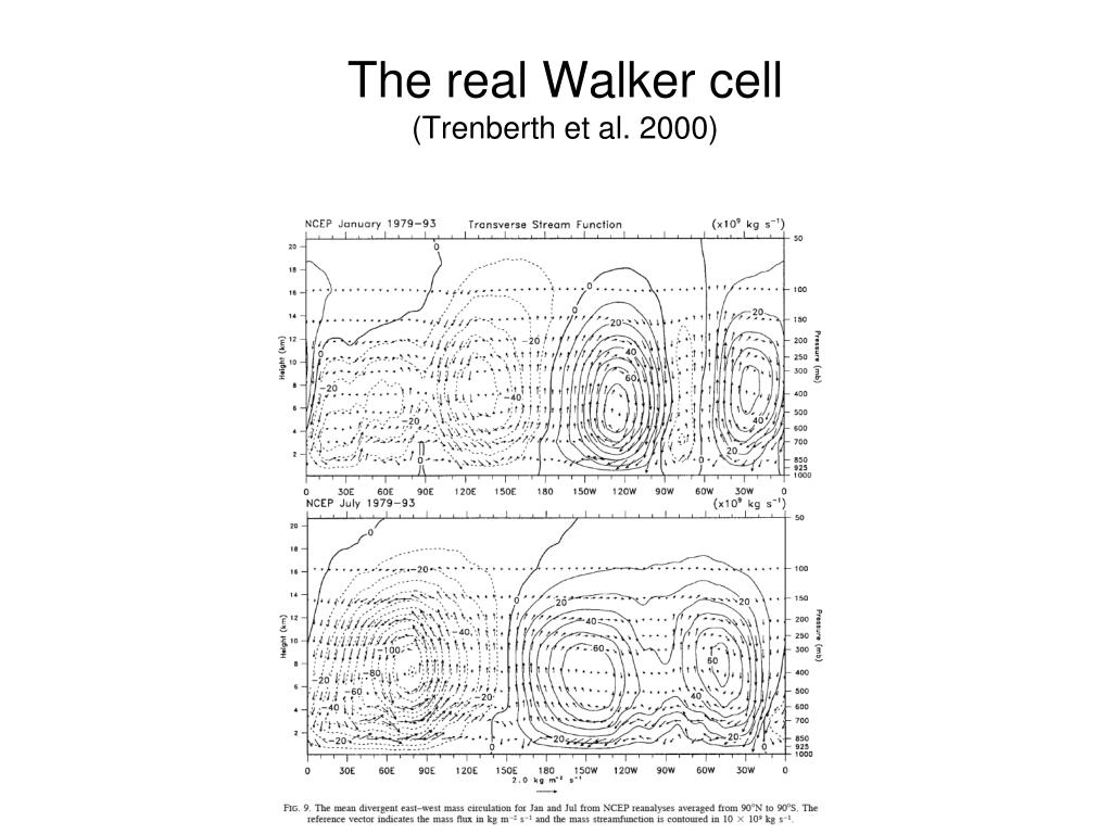 PPT - Annual- and zonal-mean climate of the tropics (NCEP) PowerPoint ... PPT - Annual- and zonal-mean climate of the tropics (NCEP) PowerPoint ...