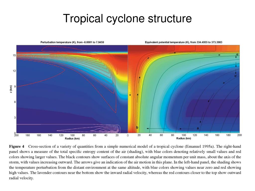 PPT - Annual- and zonal-mean climate of the tropics (NCEP) PowerPoint ... PPT - Annual- and zonal-mean climate of the tropics (NCEP) PowerPoint ...