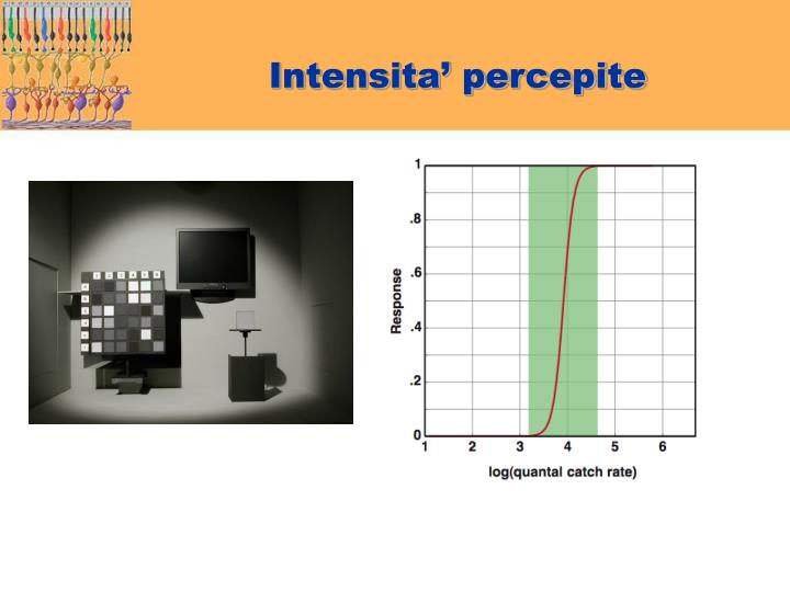 PPT - Fotorecezione PowerPoint Presentation - ID:4410993