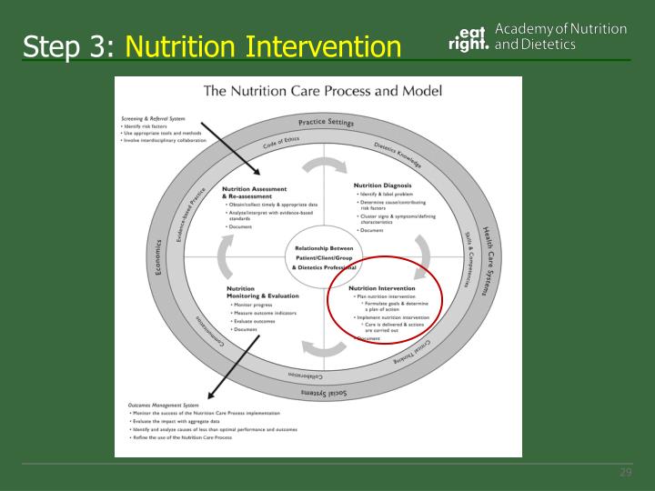 PPT - Nutrition Care Process Terminology PowerPoint Presentation - ID ...