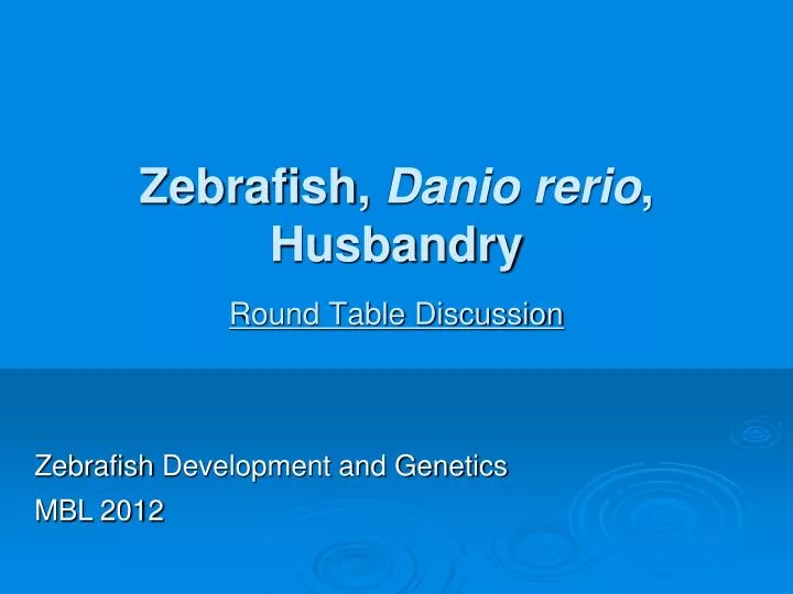 PPT - Zebrafish , Danio rerio , Husbandry PowerPoint Presentation, free ...