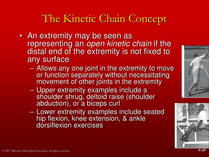 PPT - Chapter 8 Muscular Analysis of Upper Extremity Exercises ...