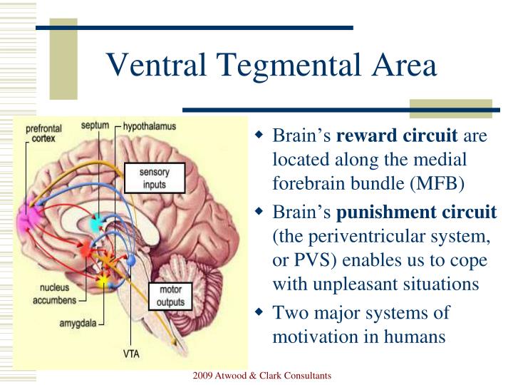 PPT - Keep Our University Free From Smoking PowerPoint Presentation ...