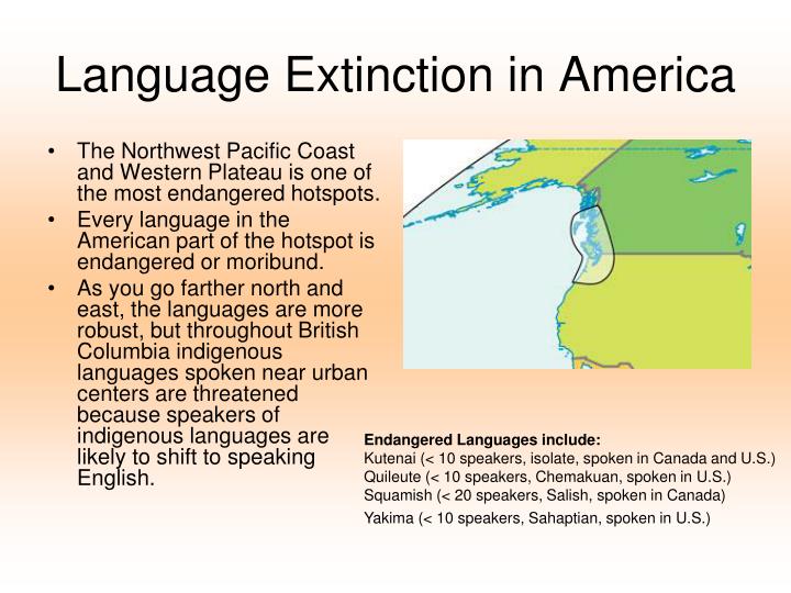 PPT - Language PowerPoint Presentation - ID:4415038