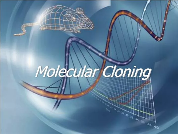 PPT - Molecular Cloning PowerPoint Presentation, free download - ID:4415370