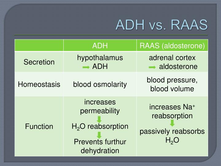 PPT - Chap44 Diabetes insipidus and aquaporin (ADH, aldosterone and ...