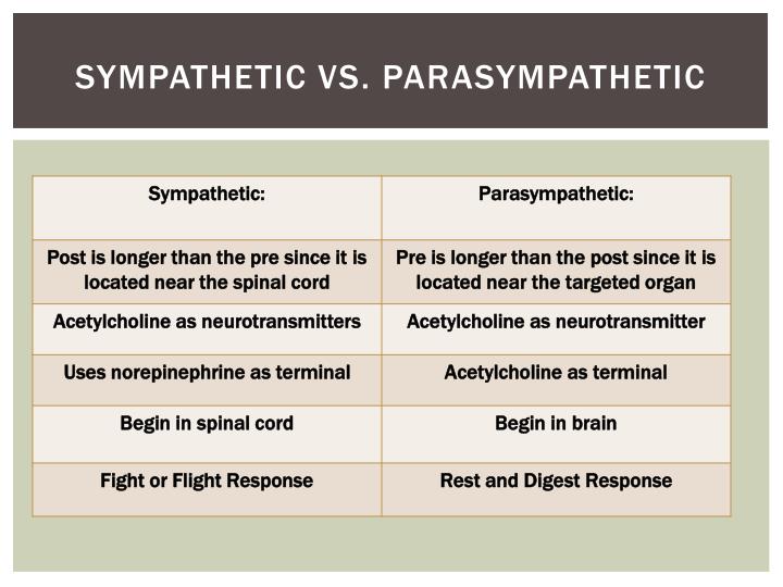 PPT - Autonomic Nervous system PowerPoint Presentation - ID:4416829