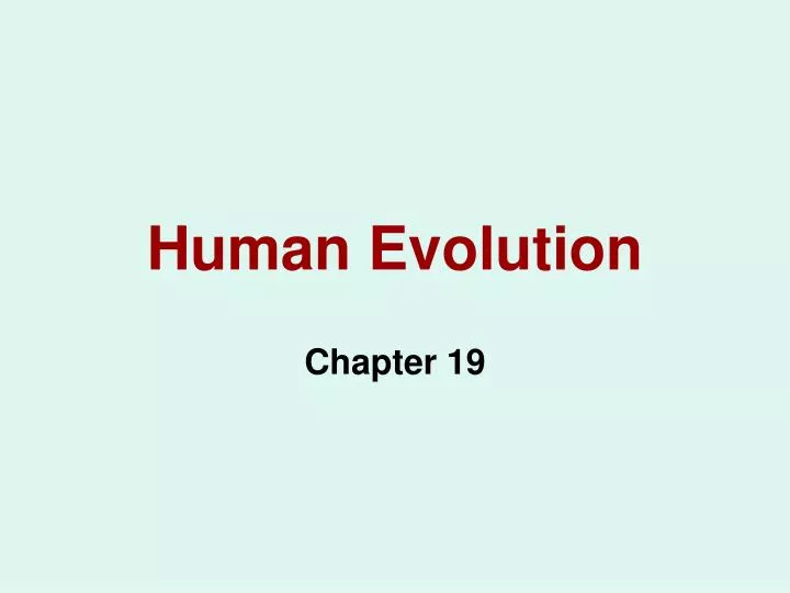 PPT - Human Evolution PowerPoint Presentation, free download - ID:4417130