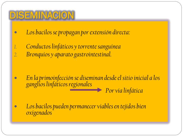 PPT - Tuberculosis PowerPoint Presentation - ID:4419679
