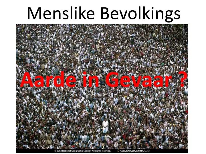 PPT - Menslike Bevolkings PowerPoint Presentation, free download - ID ...