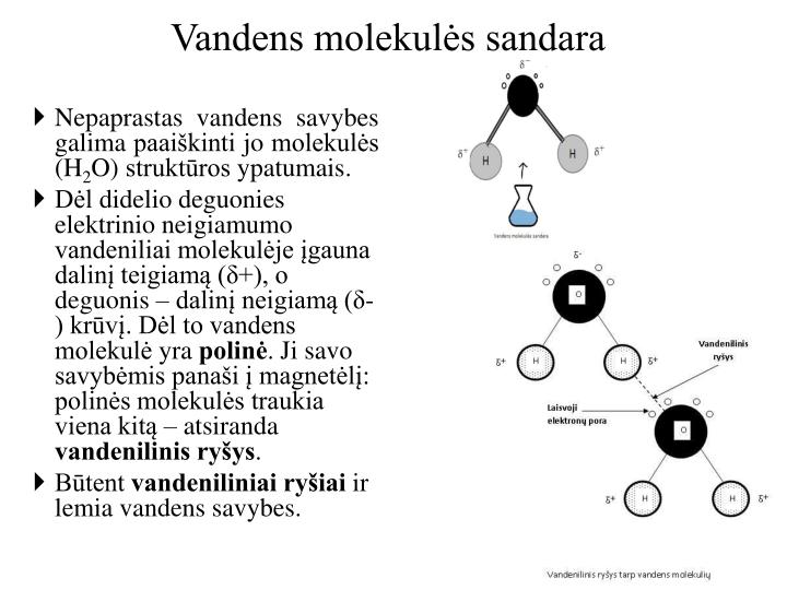 PPT - Ypatingosios vandens savybės PowerPoint Presentation - ID:4420086