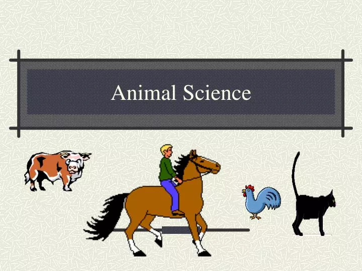 PPT - Animal Science PowerPoint Presentation, free download - ID:4420436