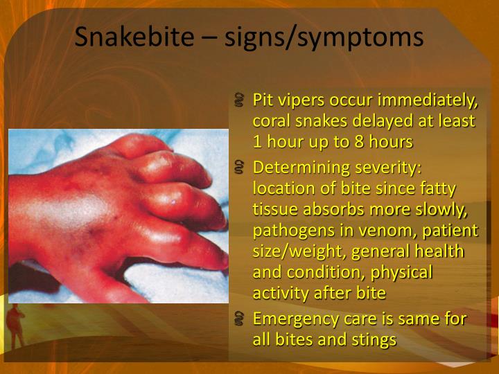 PPT - Environmental Emergencies PowerPoint Presentation - ID:4421990