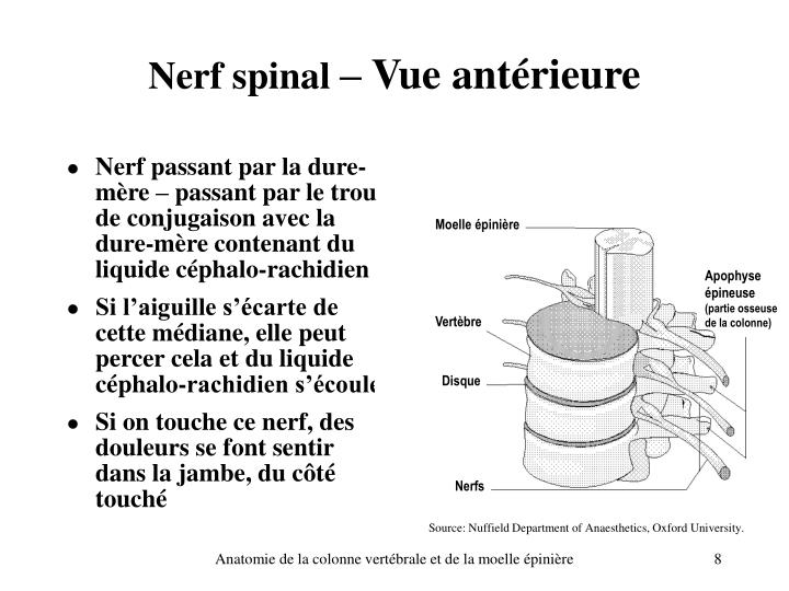 PPT - Anatomie de la colonne vertébrale et de la moelle épinière ...