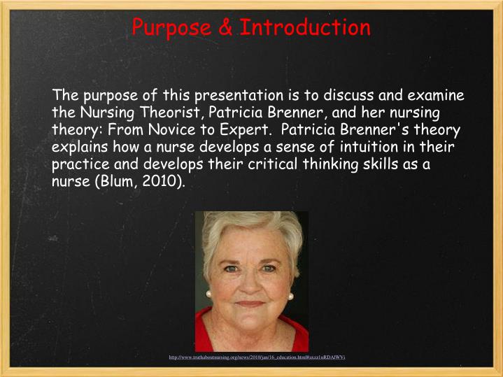 PPT - Nursing Theorist Patricia Benner PowerPoint Presentation - ID:4423392