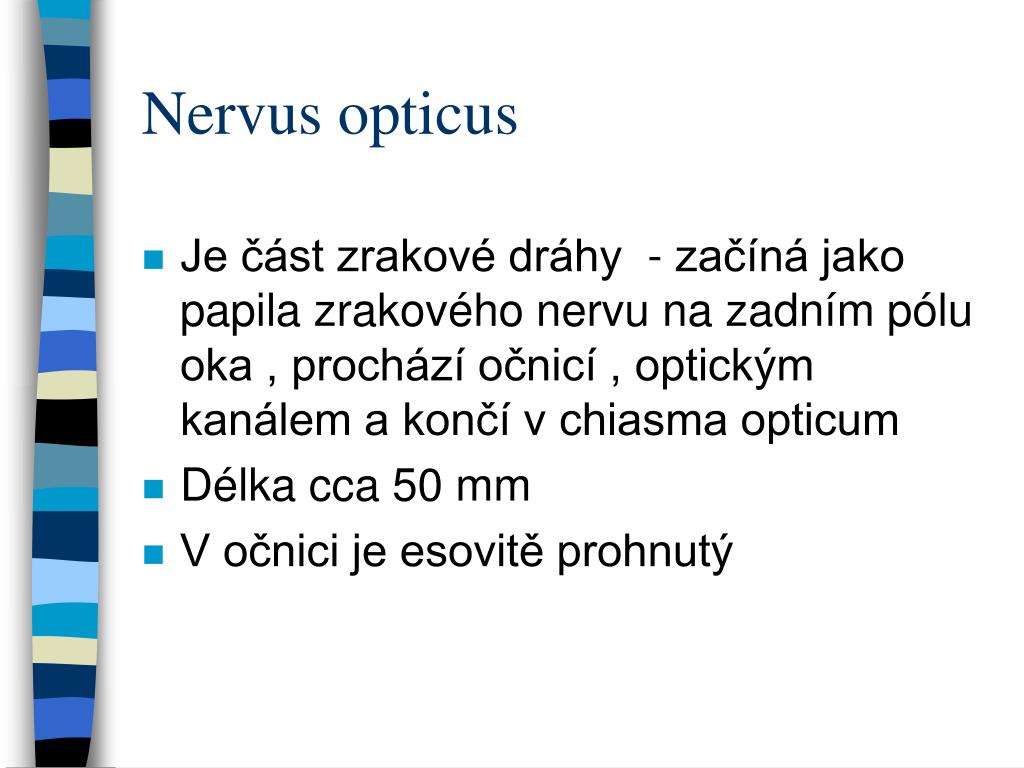 PPT - Anatomie a fyziologie oka III. PowerPoint Presentation, free ...