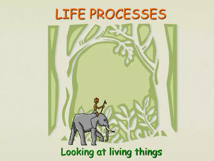 PPT - LIFE PROCESSES PowerPoint Presentation, free download - ID:4423702