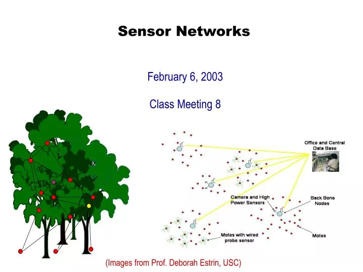PPT - Sensor Networks PowerPoint Presentation, free download - ID:4423918