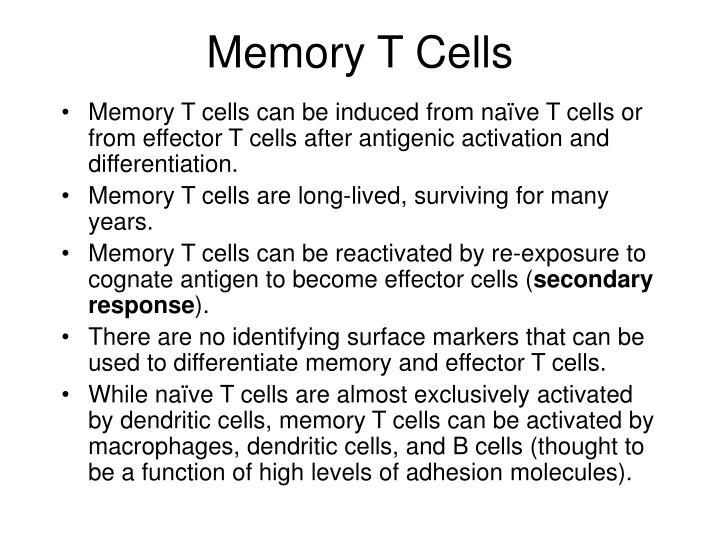 PPT - T-Cell Maturation, Activation, And Differentiation PowerPoint ...