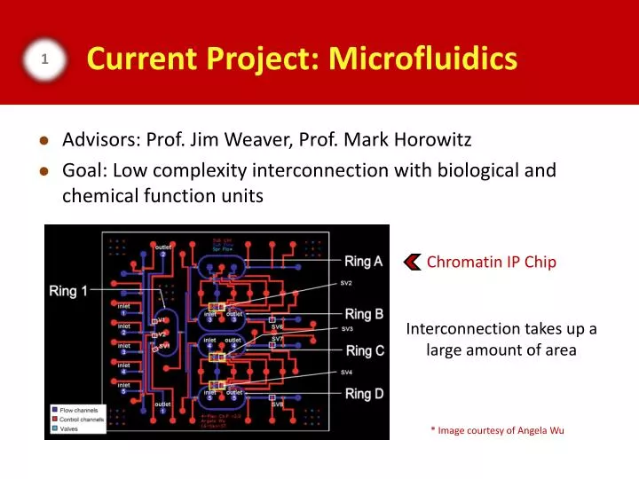 PPT - Current Project: Microfluidics PowerPoint Presentation, free download - ID:4428404