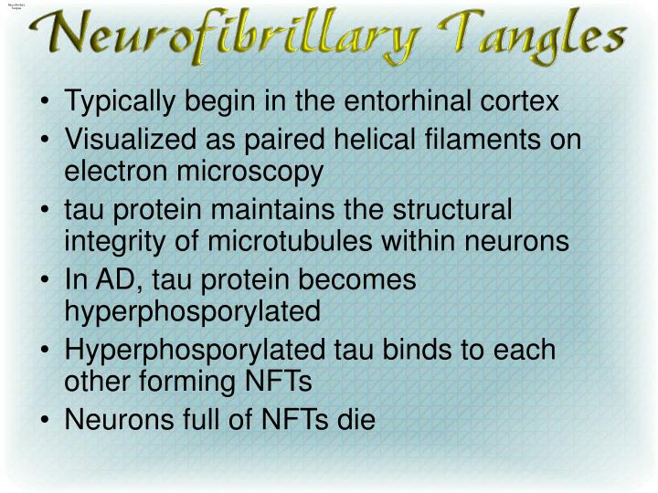 PPT - Neurodegenerative Disorders PowerPoint Presentation - ID:4429202