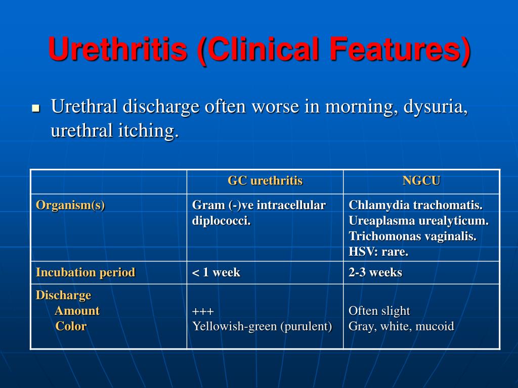 PPT - Dr.MOHAMED NASR Lecturer Of Dermatology & Venereology Zagazig ...