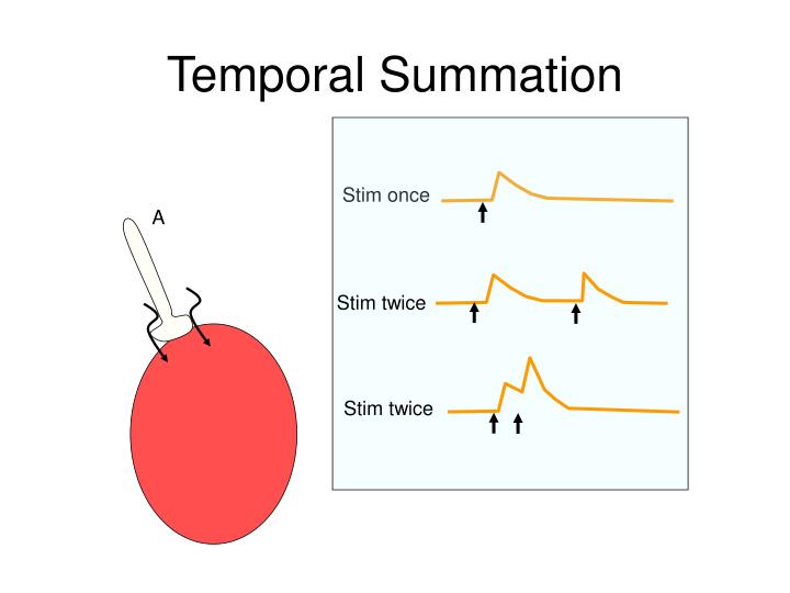 PPT - Announcements PowerPoint Presentation - ID:4431165