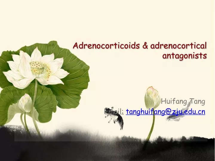 PPT - Adrenocorticoids & adrenocortical antagonists PowerPoint ...
