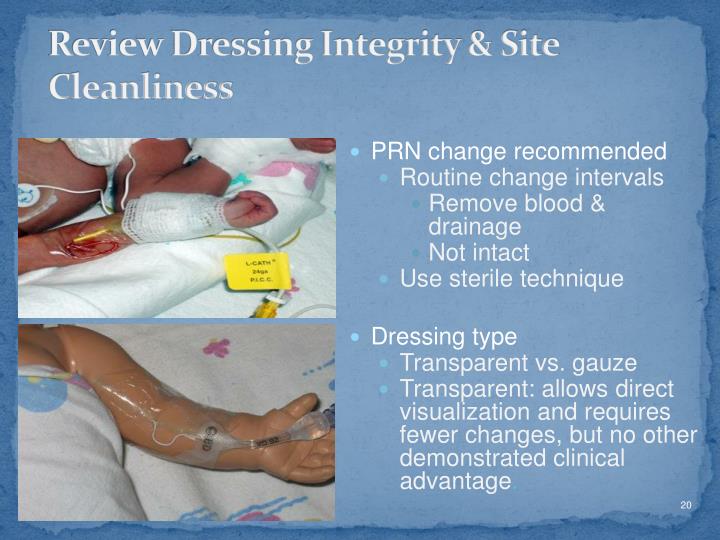 PPT - Evidence-Based Approaches to Elimination of Neonatal CLABSI ...