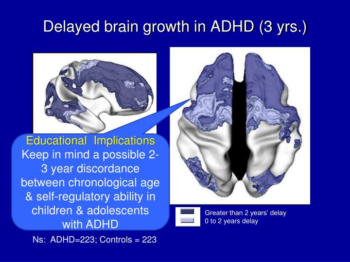 PPT - Class # 3: Neurobiology of ADHD PowerPoint Presentation - ID:4436787