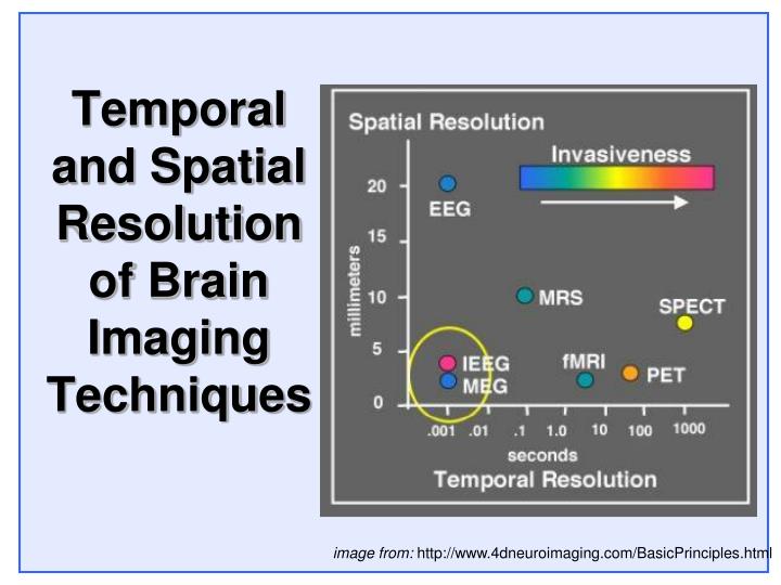 PPT - Class # 3: Neurobiology of ADHD PowerPoint Presentation - ID:4436787