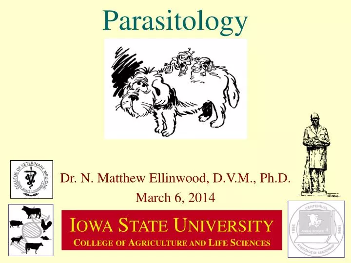 PPT - Parasitology PowerPoint Presentation, free download - ID:4436967