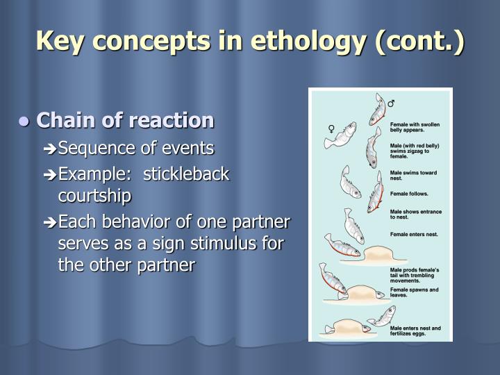 PPT - Lecture 1: Introduction to Animal Behavior & Lecture 2: Ethology ...
