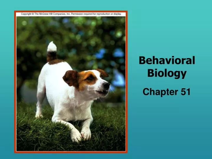 PPT - Behavioral Biology PowerPoint Presentation, free download - ID ...