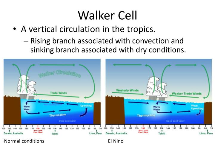 PPT - El Nino, La Nina, and their Affects in Oklahoma PowerPoint ...