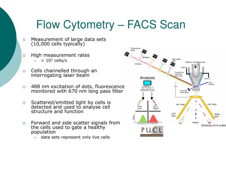 PPT - Computational Simulation of Optical Tracking of Cell Populations ...