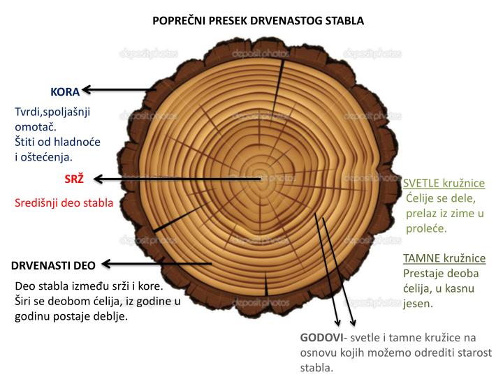 PPT - STABLO PowerPoint Presentation - ID:4440496