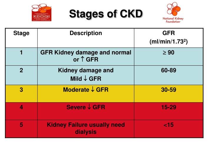 PPT - Ellen H. Yoshiuchi, MPS Division Program Director National Kidney ...
