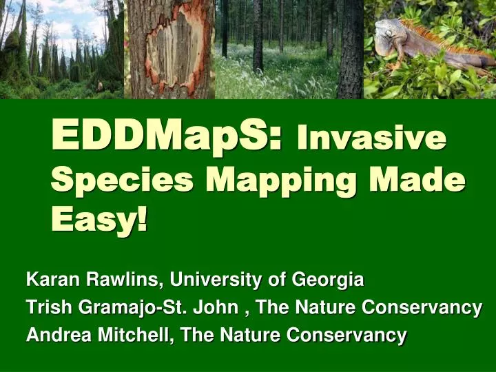 PPT - EDDMapS: Invasive Species Mapping Made Easy! PowerPoint ...