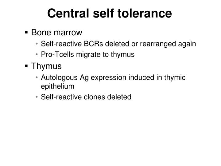 PPT - Allografts, Autoimmune Diseases and Amyloidosis PowerPoint ...