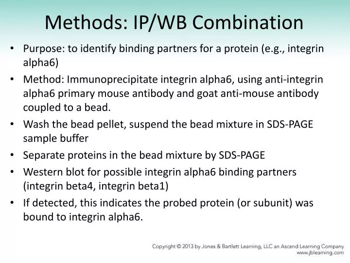 PPT - Methods: IP/WB Combination PowerPoint Presentation, free download ...