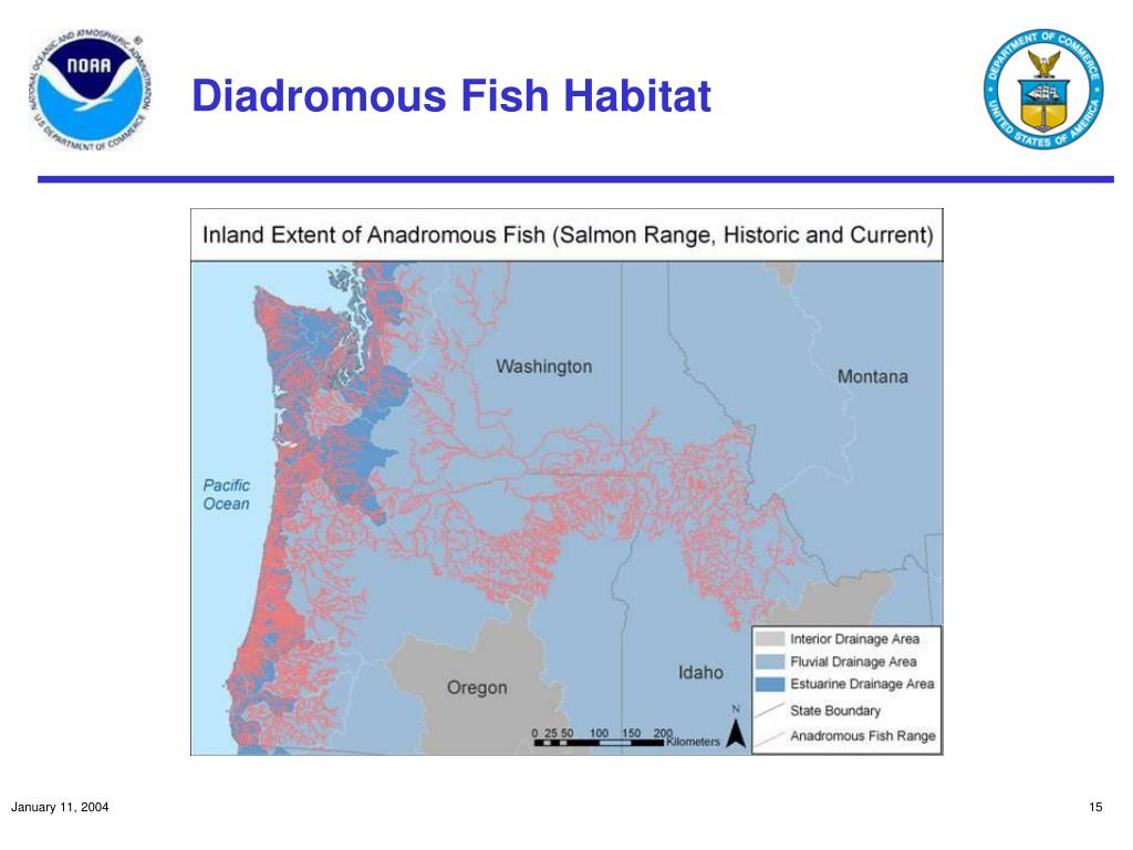 PPT - NOAA’s Ecosystem Approach and Plans John H. Dunnigan, Ecosystem ...