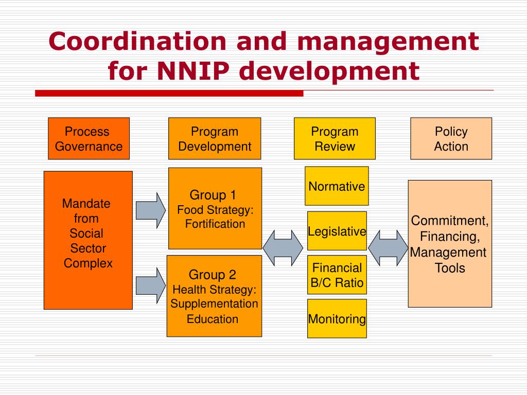 PPT - National Nutrition Investment Plan in the Republic of Uzbekistan ...