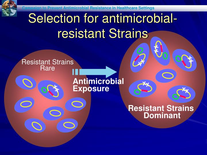 PPT - MDRO(multidrug resistant organisms) PowerPoint Presentation - ID ...