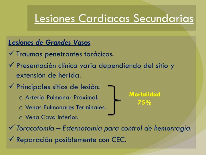 PPT - Trauma Cardiaco PowerPoint Presentation - ID:4449575