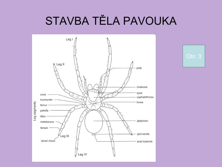 PPT - GYMNÁZIUM, VLAŠIM, TYLOVA PowerPoint Presentation - ID:4449950