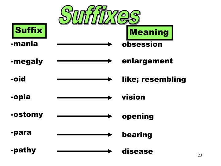 PPT - Building Medical Terms PowerPoint Presentation - ID:4450345