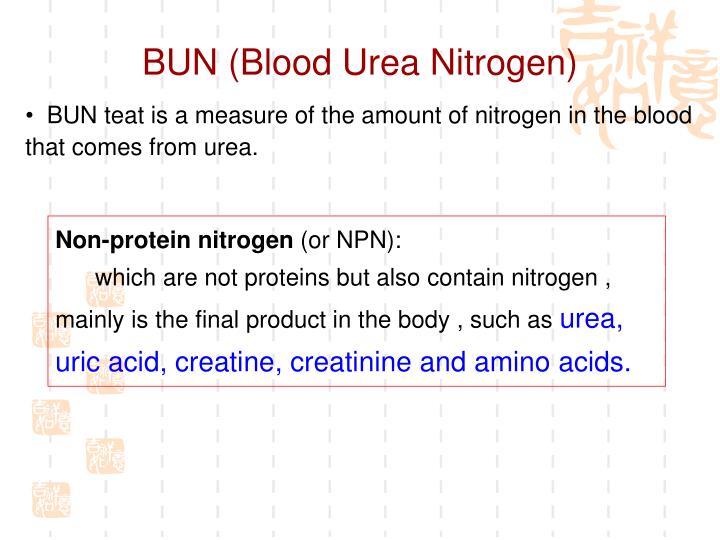 PPT - Determination of Urea (BUN) in serum PowerPoint Presentation - ID ...