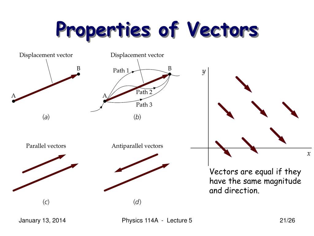 Types Of Vectors Definition Types Properties Examples - vrogue.co Types Of Vectors Definition Types Properties Examples - vrogue.co